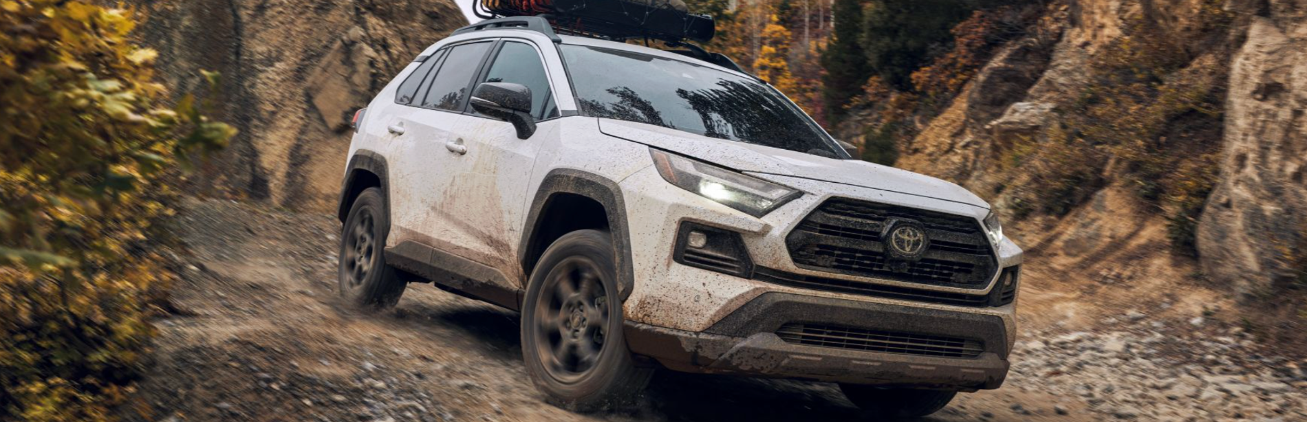 See the 2024 Toyota RAV4 in Sanford, NC | Features Review